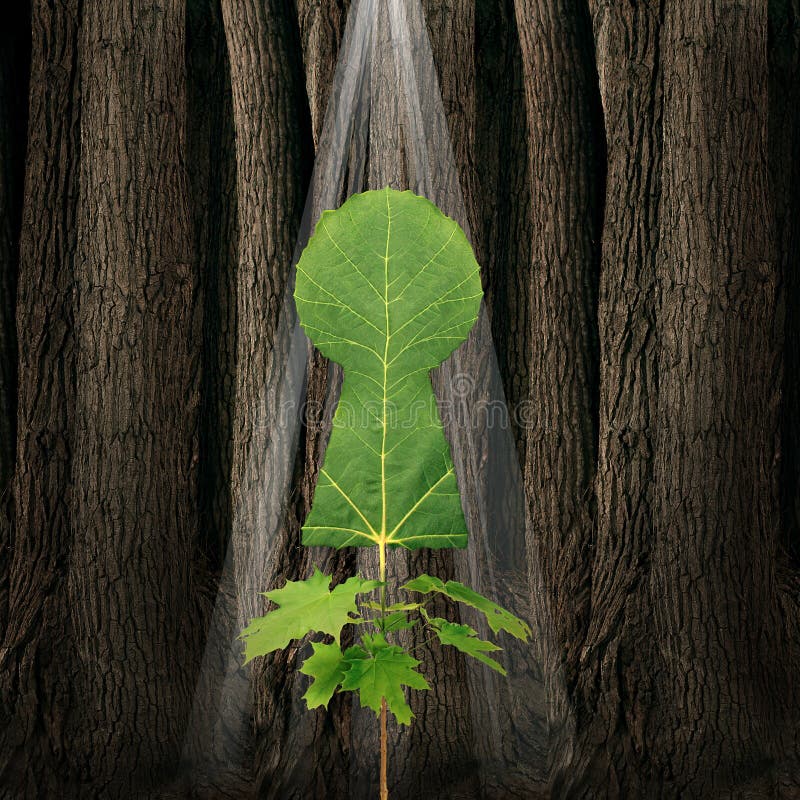 Llave al crecimiento stock de ilustración. Ilustración de logro - 31671414