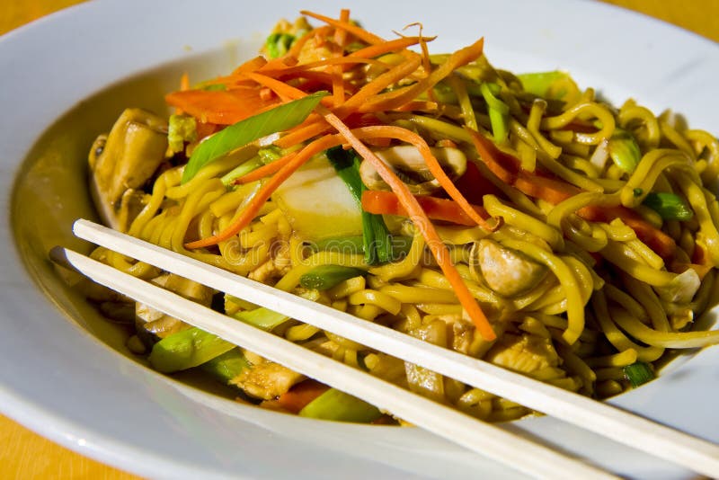 Lo Mein in Bowl stock photo. Image of lunch, cuisine, healthy - 8330054
