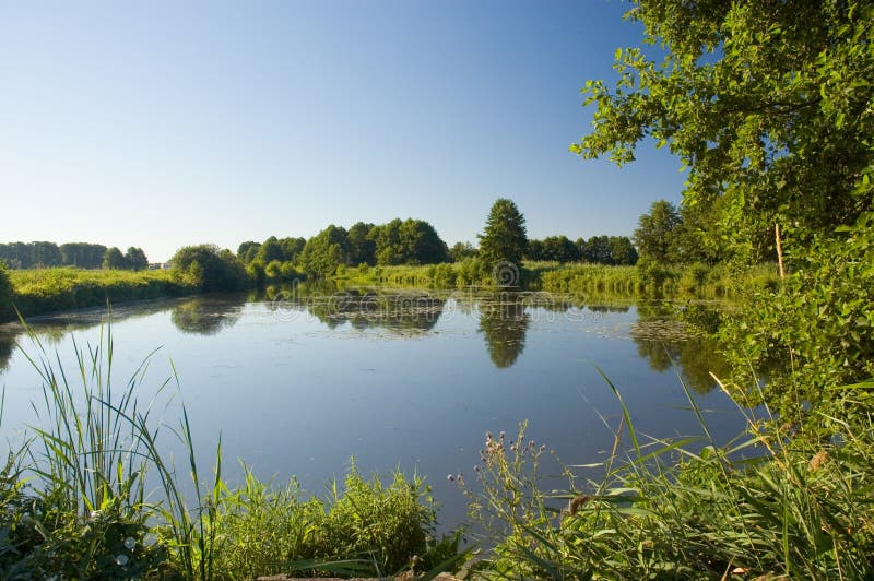 Lo stagno fotografia stock. Immagine di verde, albero - 11965894