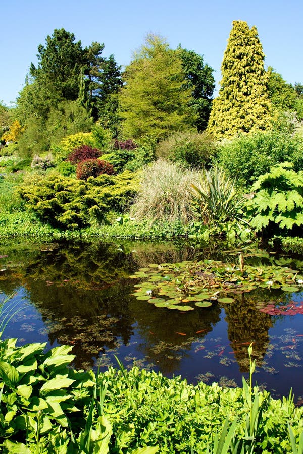 Lo stagno immagine stock. Immagine di estate, coltura - 9678923