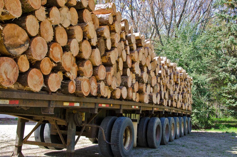 Load of Logs stock photo. Image of forest, industrial - 25020030