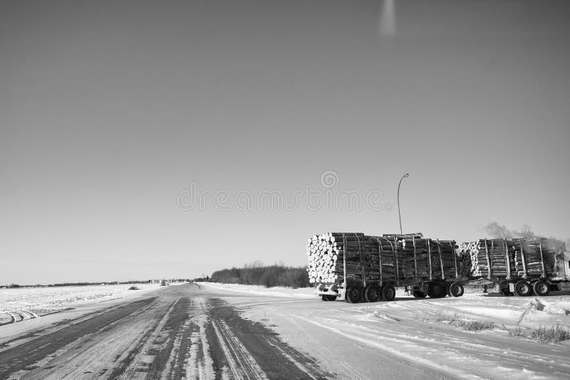 Load of logs stock image. Image of loaded, load, winter - 50355525