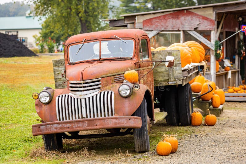 Load Truck of Pumpkins during Fall Harvest Outdoors Stock Image - Image ...