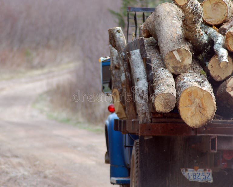 Load of Wood stock image. Image of blue, road, wood, dirt - 1007497