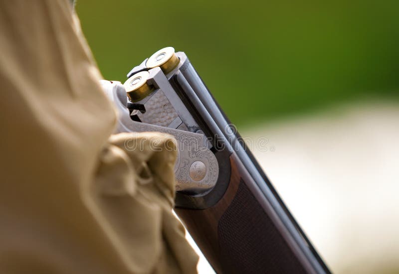 Loaded Hunting Gun Ready for the Hunt Stock Image - Image of wild ...