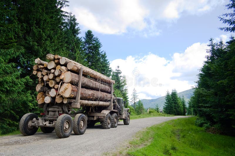 Transportation Of Pine Logs In Truck. Wood Transportation Stock Image ...