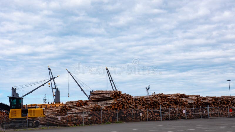 Loader Loading Timber. Building Materials, Timber Stock Photo - Image ...