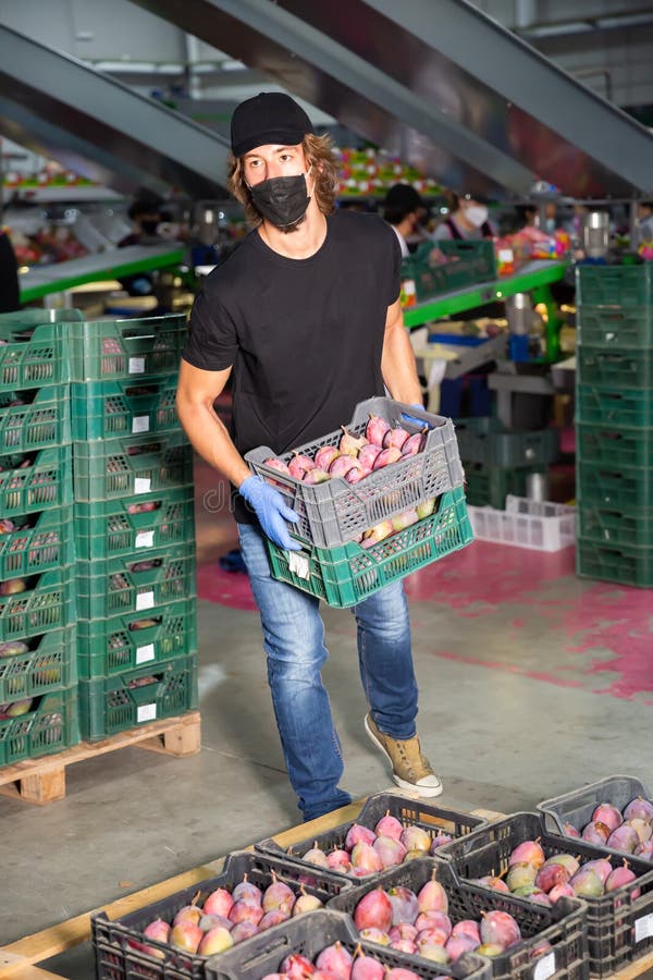 Loader in Protective Mask Carries Boxes Stock Image - Image of ...