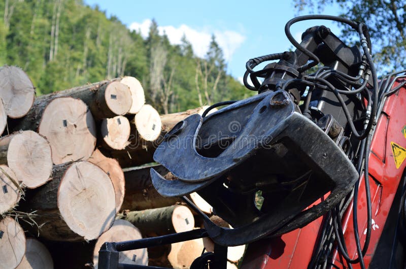 Loader timber truck stock photo. Image of lumber, forestry - 92232582
