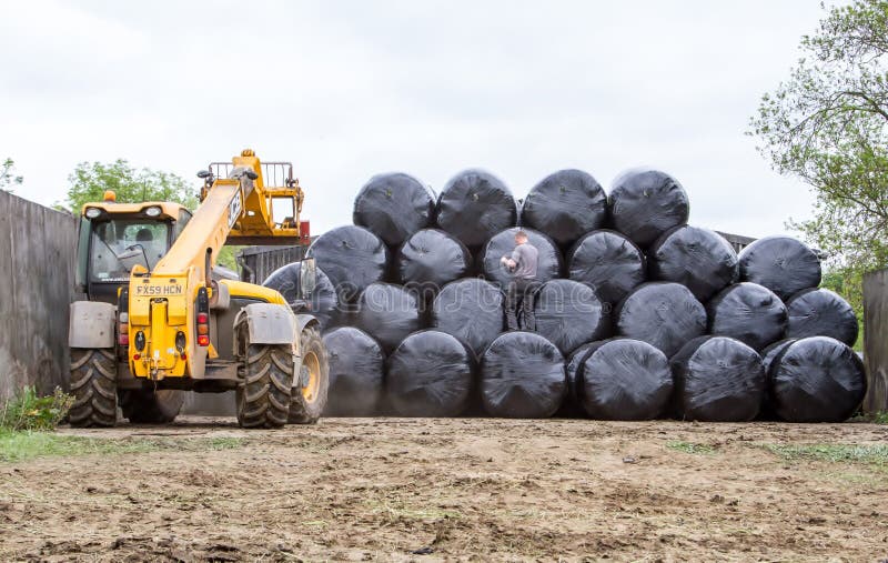 Loader Tractor Stacking Round Bales in a Stack Editorial Stock Photo ...