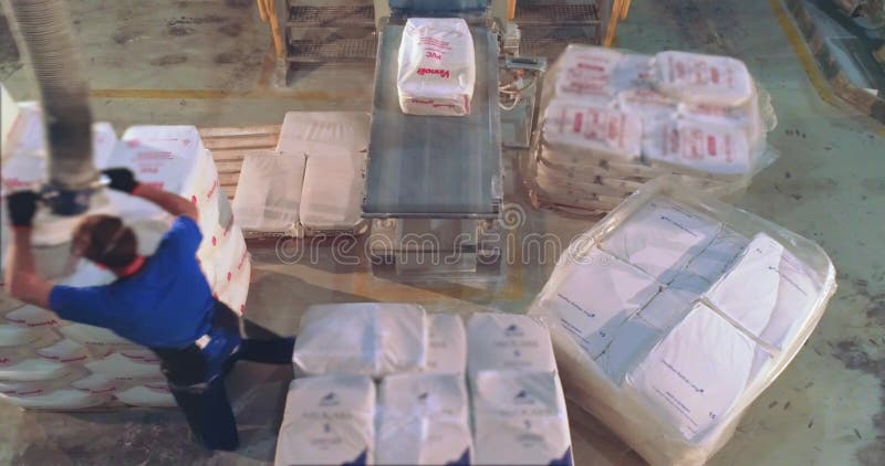 Loading Bags Onto a Conveyor Belt. Vacuum Manipulator Lifting Bags on a ...