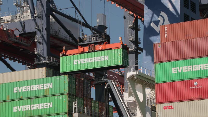 Loading Containers on a Ship Stock Footage - Video of deliver, shipment ...