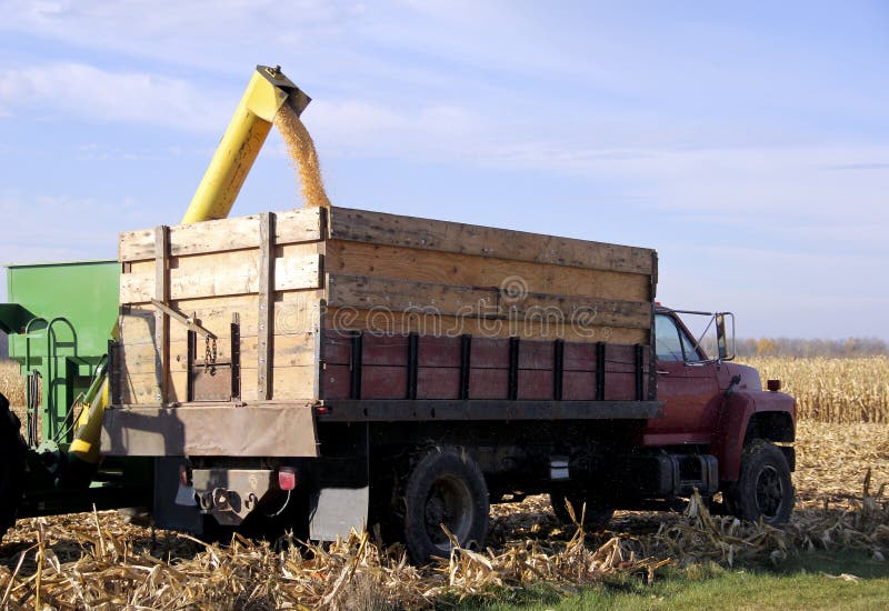 Corn Truck stock image. Image of maize, crop, husk, corn - 9850049
