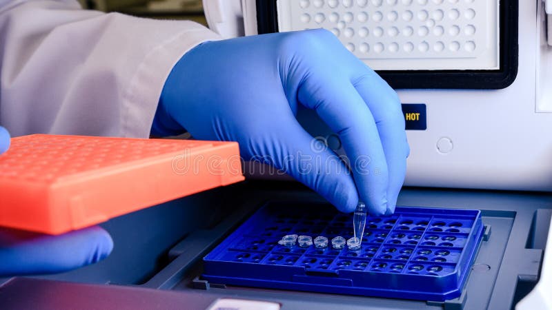 Loading a DNA Tube into a PCR Polymerase Chain Reaction Thermocycler ...