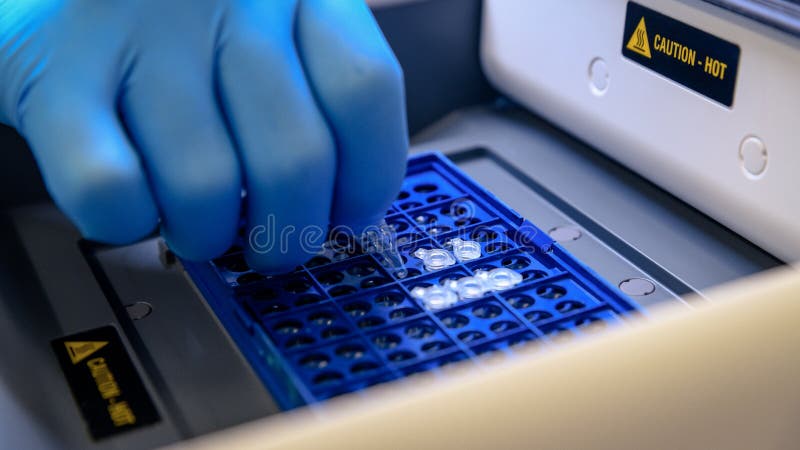 Loading a DNA Tube into a PCR Polymerase Chain Reaction Thermocycler ...