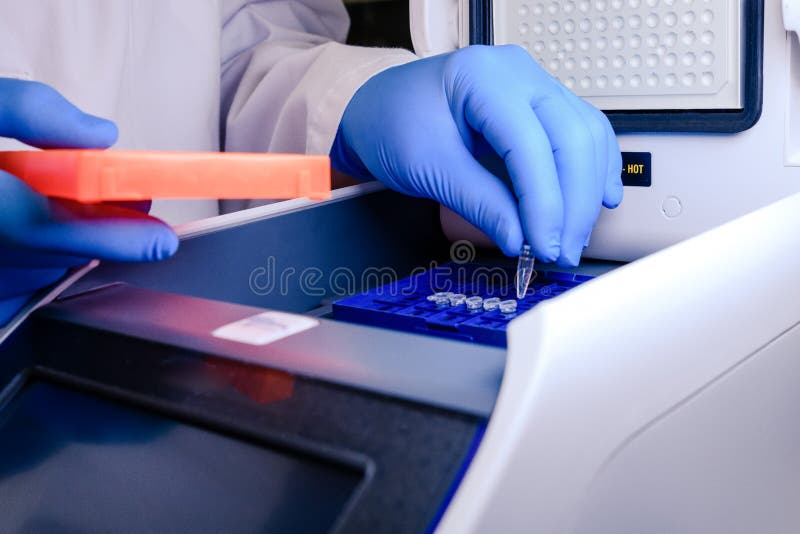 Loading a DNA Tube into a PCR Polymerase Chain Reaction Thermocycler ...