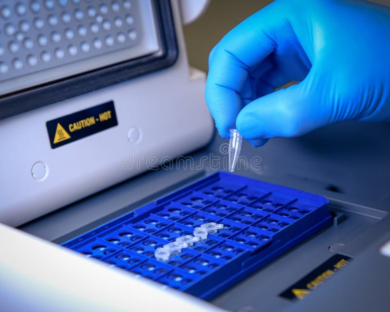 Loading a DNA Tube into a PCR Polymerase Chain Reaction Thermocycler ...
