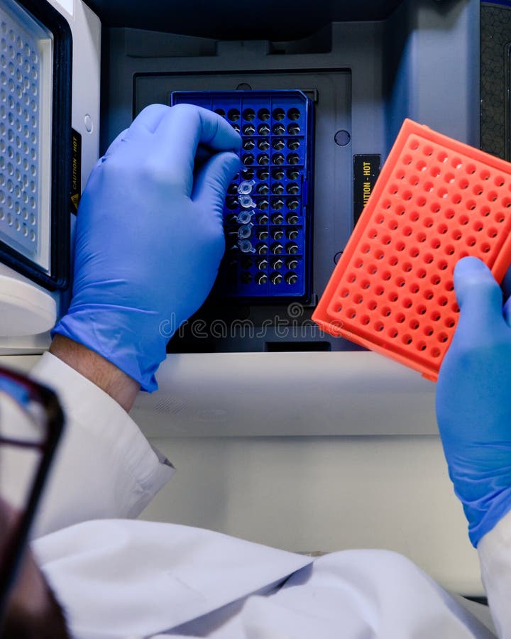 Loading a DNA Tube into a PCR Polymerase Chain Reaction Thermocycler ...