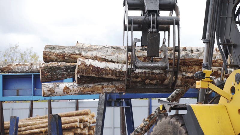 Cut logs equipment stock video. Video of beam, bulldozer - 35727634