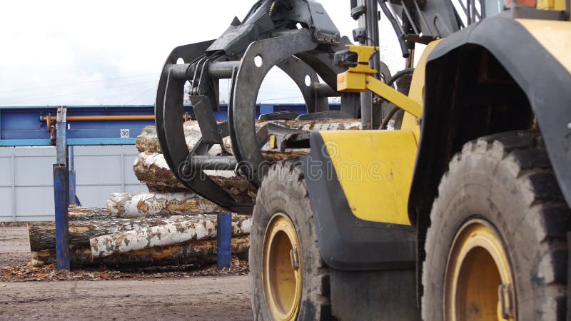 Loading Equipment for Logging. Log Loader for Timber, Logs. the Log ...
