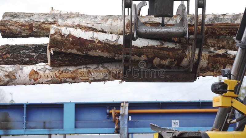 Loading Equipment for Logging. Log Loader for Timber, Logs. the Log ...