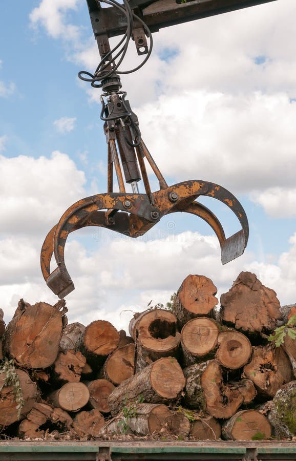 Loading of Felled Timber in a Truck with Crane Stock Photo - Image of ...