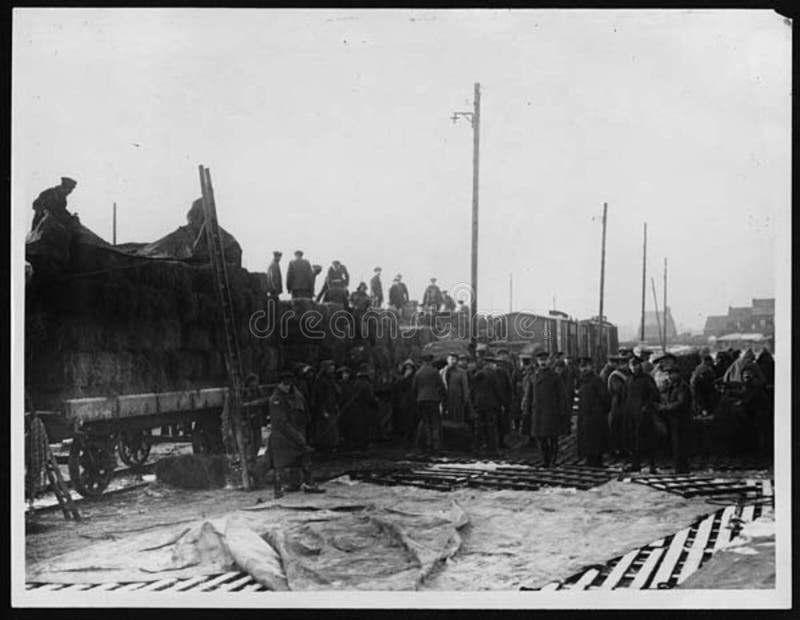 Loading A Fodder Train Picture. Image: 224202753