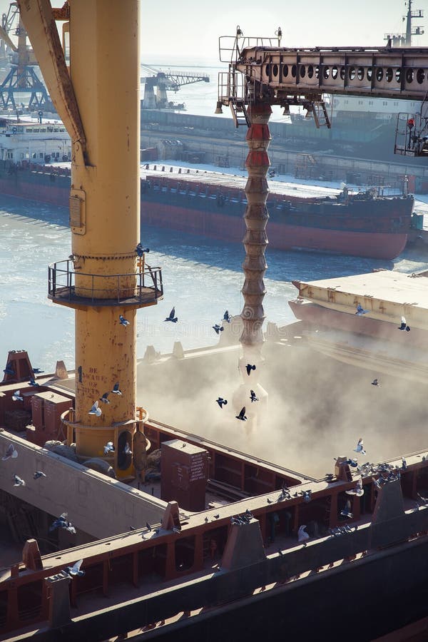 Loading Grain in the Granary on the Ship Stock Photo - Image of export ...
