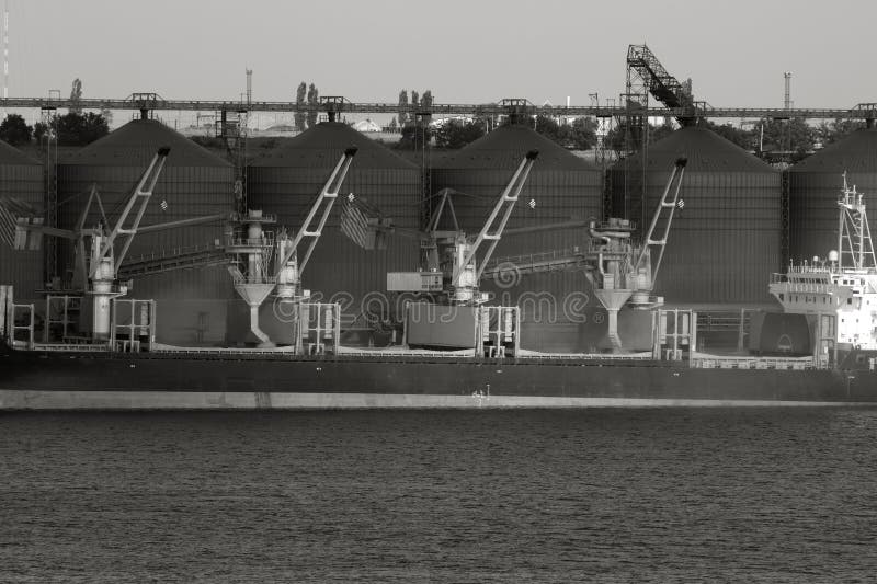 Loading Grain into Holds of Marine Cargo Ship on Automatic Line in ...