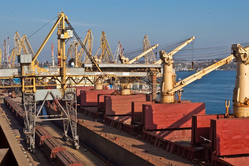 Loading Grain into Holds of Sea Cargo Vessel in Seaport from Grain ...