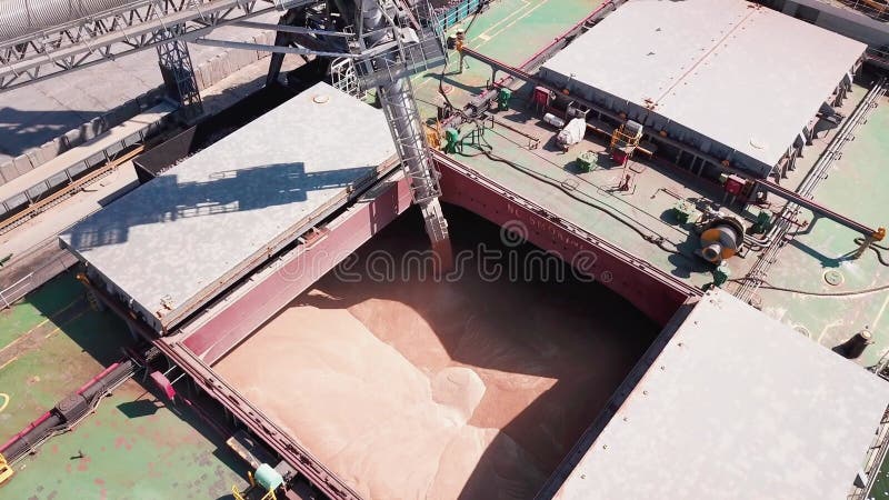 Loading Grain Onto a Cargo Ship for Transportation by Sea by a Conveyor ...