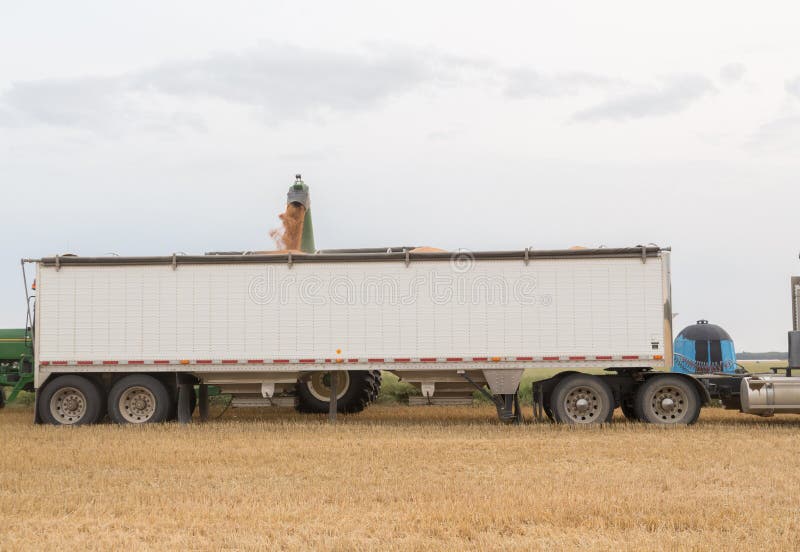 Loading Grain Onto A Semi Trailer Truck Stock Photo - Image of ...