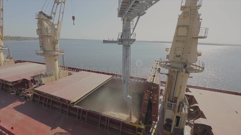 Loading Grain into a Ship, a Ship for Transporting Grain. Wheat ...