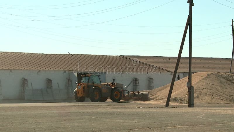 Loading grain into storage stock video. Video of building - 146480247