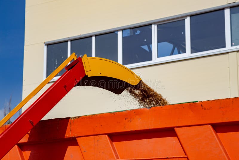 Loading Grain into Truck by Grain Thrower Loader Machine Stock Image ...