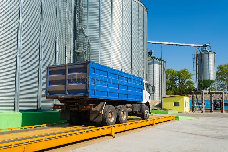 Loading Grain by Trucks Onto the Elevator into Metal Containers Stock ...