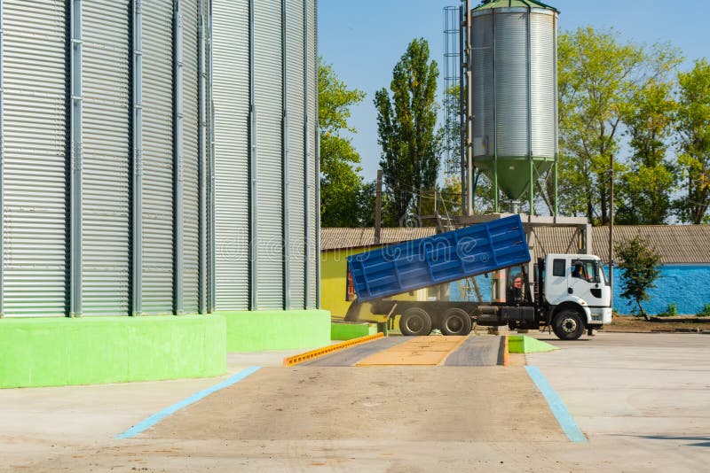 Loading Grain by Trucks Onto the Elevator into Metal Containers Stock ...