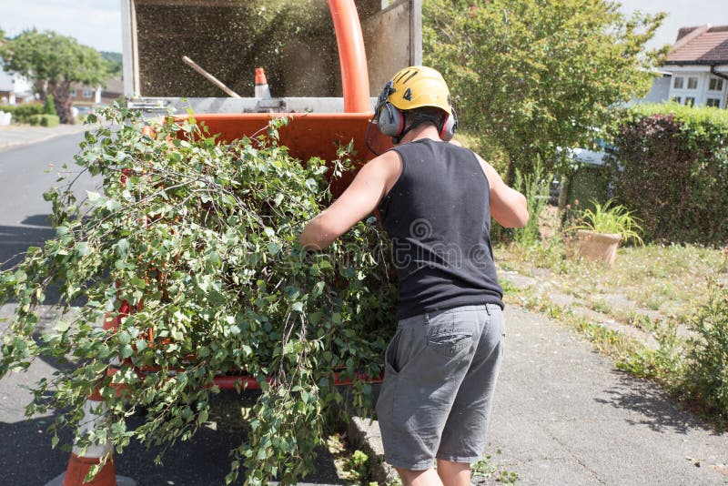 Loading an Industrial Wood Chipper Stock Photo - Image of arborist ...