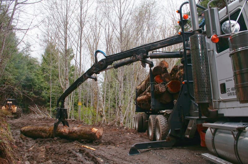 Loading Logs 03 stock photo. Image of lumber, trucks, wood - 6293794