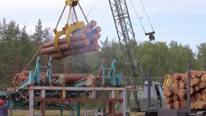 Crane Loads Logs on the Conveyor, Loading Logs on the Conveyor Stock ...