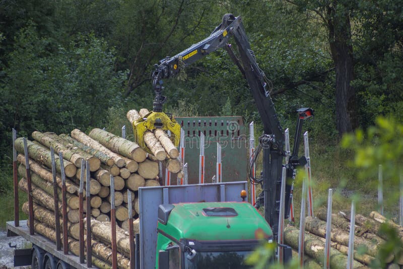 Loading Logs with a Crane Onto a Timber Truck Stock Image - Image of ...