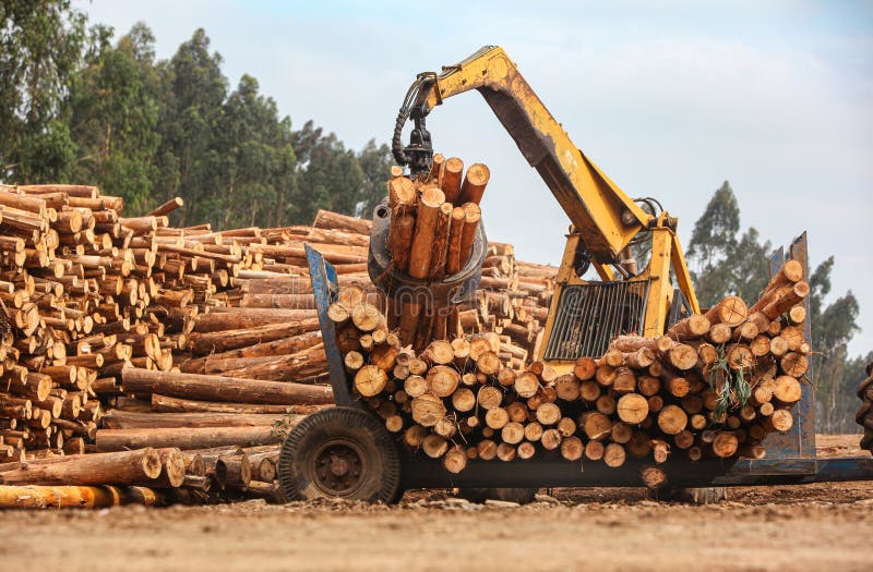 Grappling Rig Stock Photos - Free & Royalty-Free Stock Photos from ...