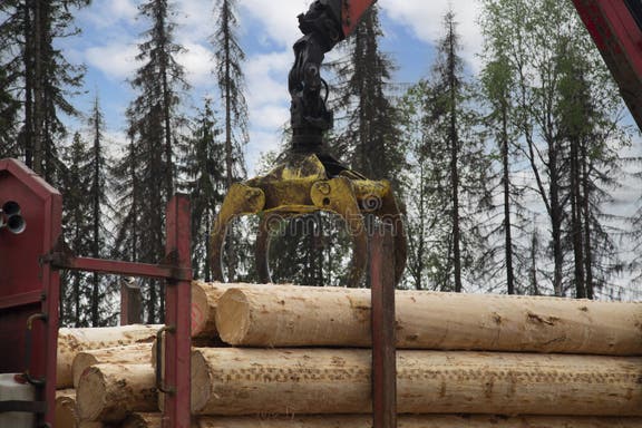 Loading Logs Onto a Logging Truck. Portable Crane on a Logging Truck ...