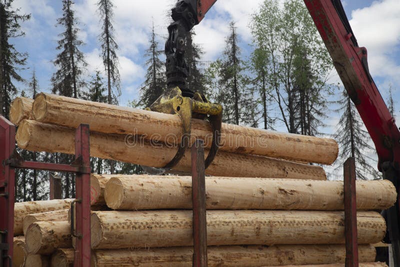 Loading Logs Onto a Logging Truck. Portable Crane on a Logging Truck ...