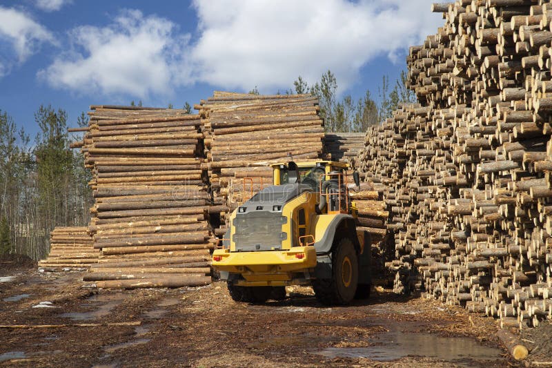 Loading Logs with a Special Loader.Timber Products Warehouse on a ...
