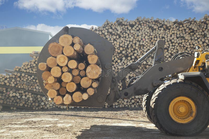 Loading Logs with a Special Loader.Timber Products Warehouse on a ...