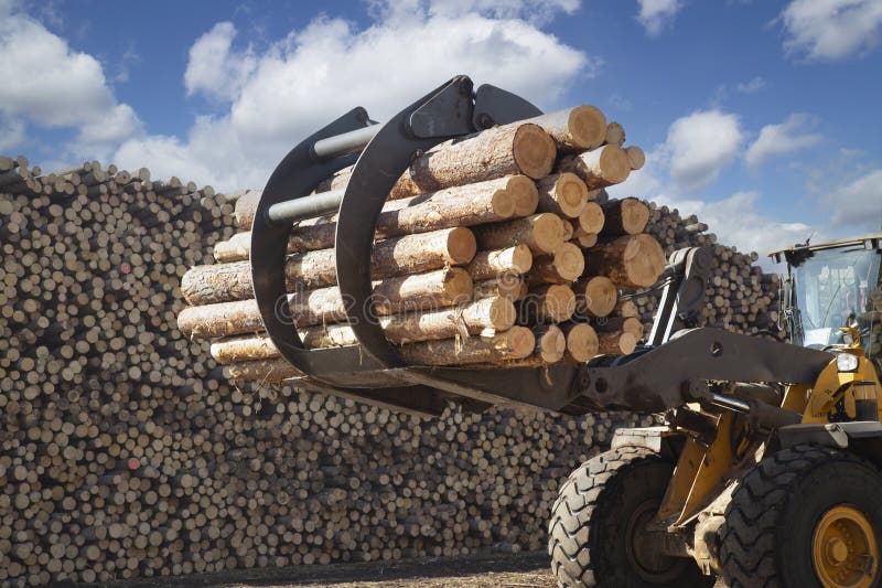 Loading Logs with a Special Loader.Timber Products Warehouse on a ...