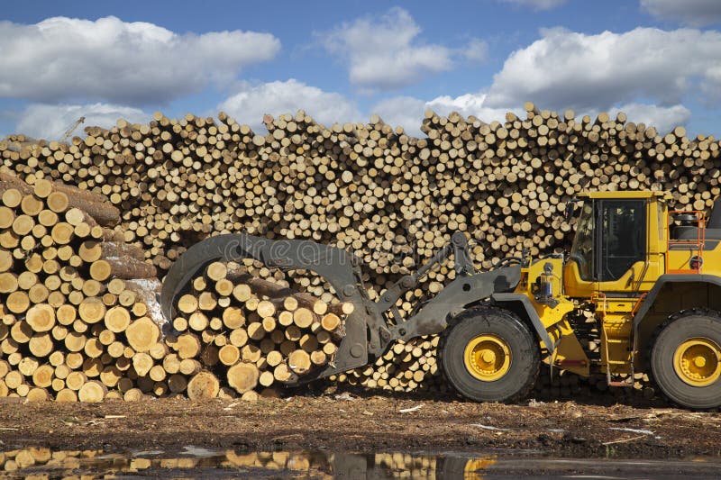 Loading Logs with a Special Loader.Timber Products Warehouse on a ...