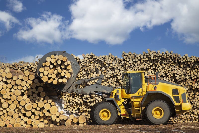 Loading Logs with a Special Loader.Timber Products Warehouse on a ...