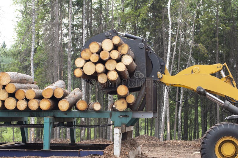 Loading Logs with a Special Loader.Timber Products Warehouse on a ...